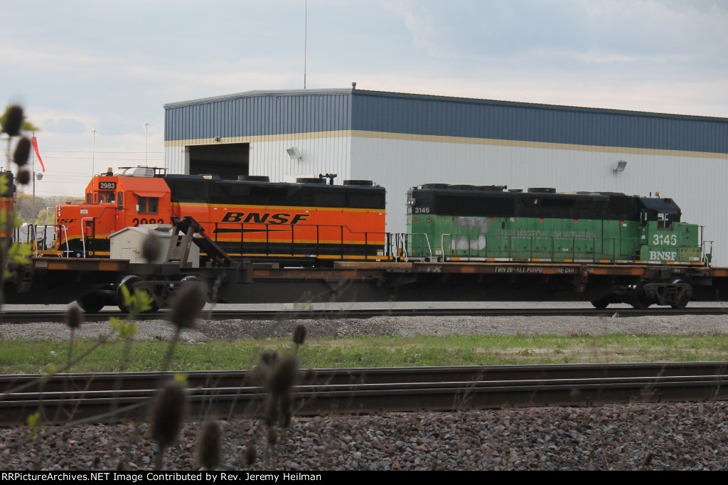 BNSF 2983 & 3146 (1)